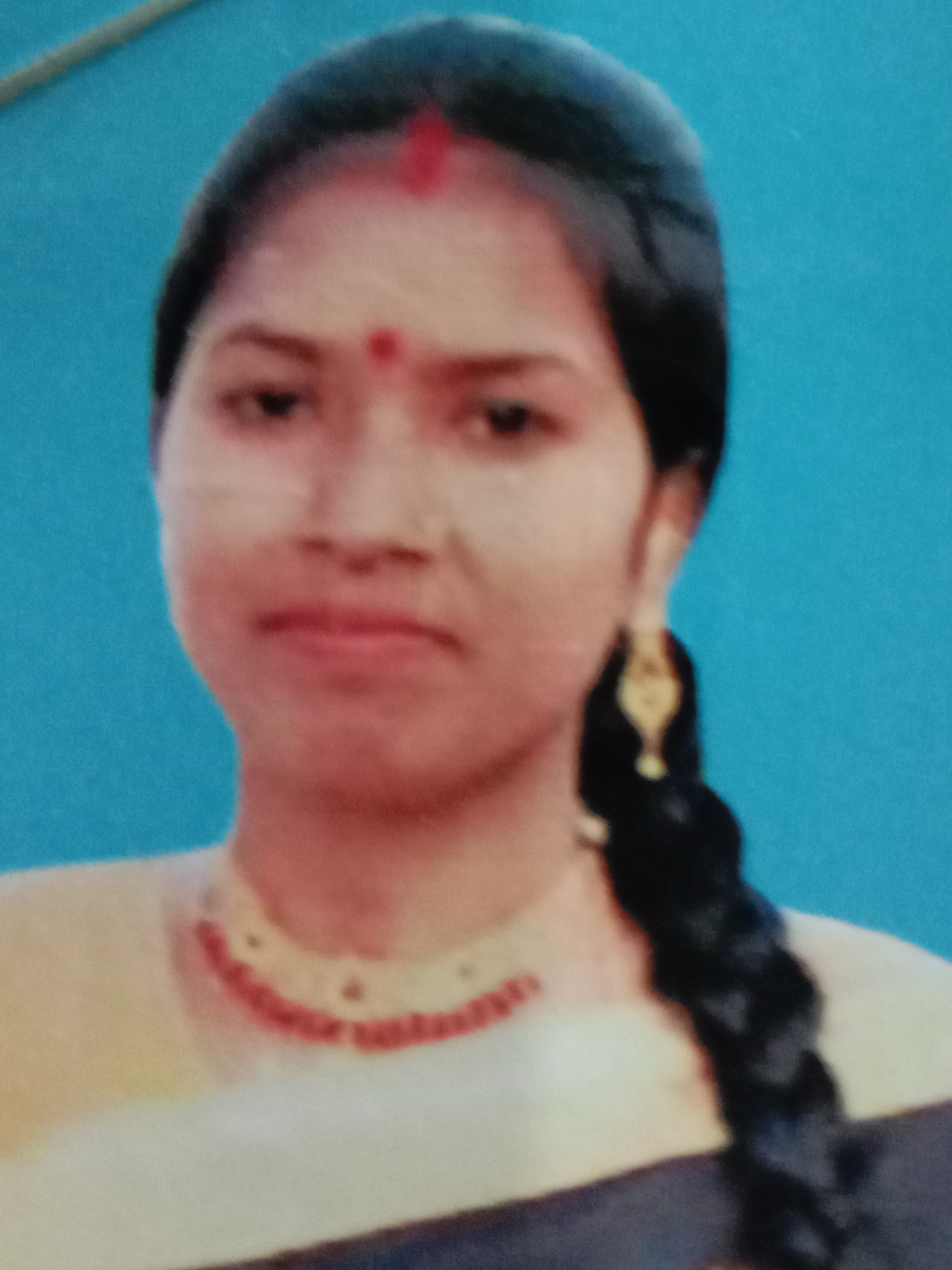 Bangladesh Technical and Software Institute